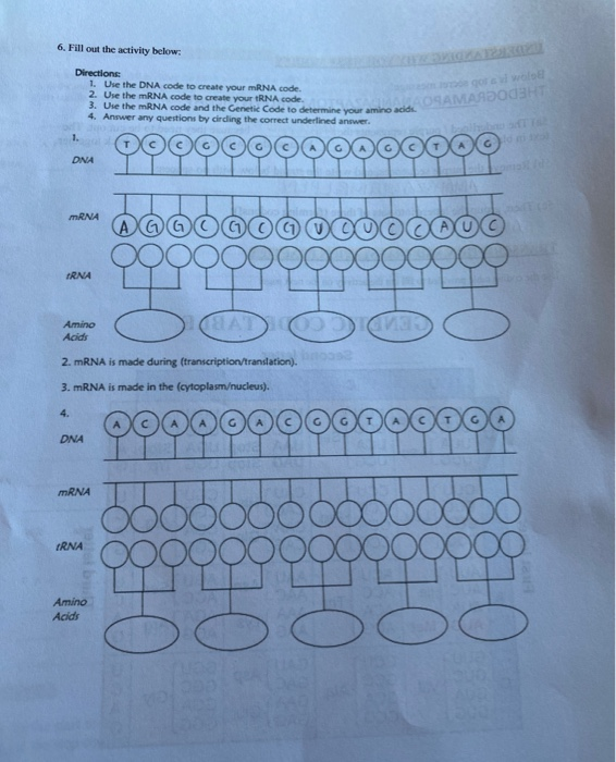 Solved 6. Fill out the activity below: Directions: 1. Use | Chegg.com