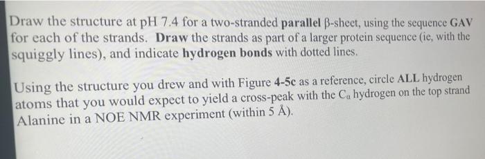 Draw the structure at pH 7.4 for a two-stranded | Chegg.com