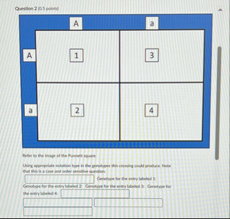 Solved Question 2 |0. 5 ﻿points|Reter to the inuge of the | Chegg.com
