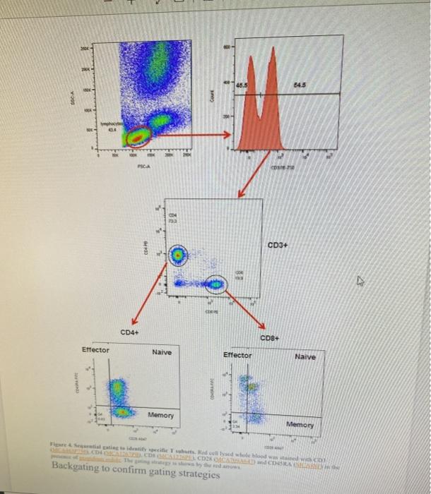 Solved 3. In your own words, describe the gating strategies | Chegg.com