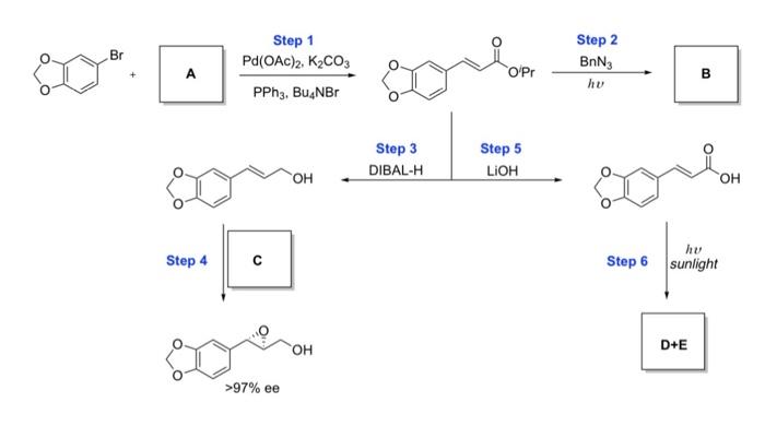 Solved A PPh3,Bu4NBrPd(OAc)2, K2CO3 \begin{tabular}{c|c} | Chegg.com