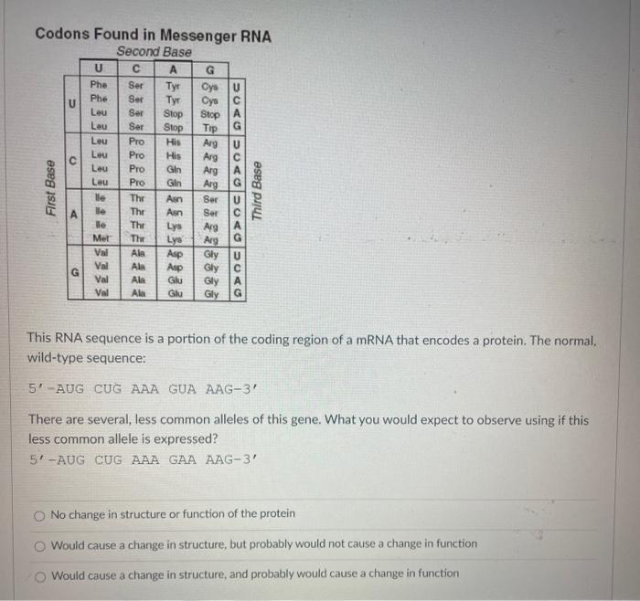 Solved Ser Stop Codons Found in Messenger RNA Second Base U | Chegg.com