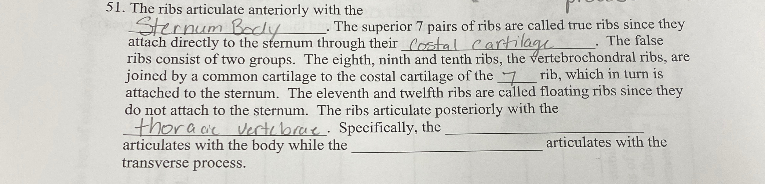 Solved The ribs articulate anteriorly with the q, . ﻿The | Chegg.com