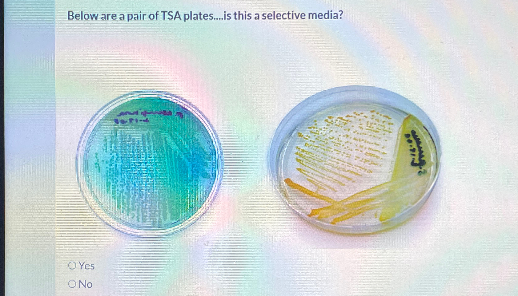 Solved Below are a pair of TSA plates....is this a selective | Chegg.com