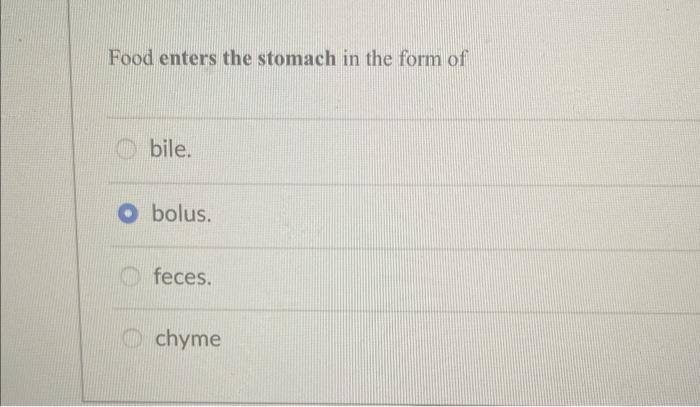 Solved Food enters the stomach in the form of bile. bolus. | Chegg.com