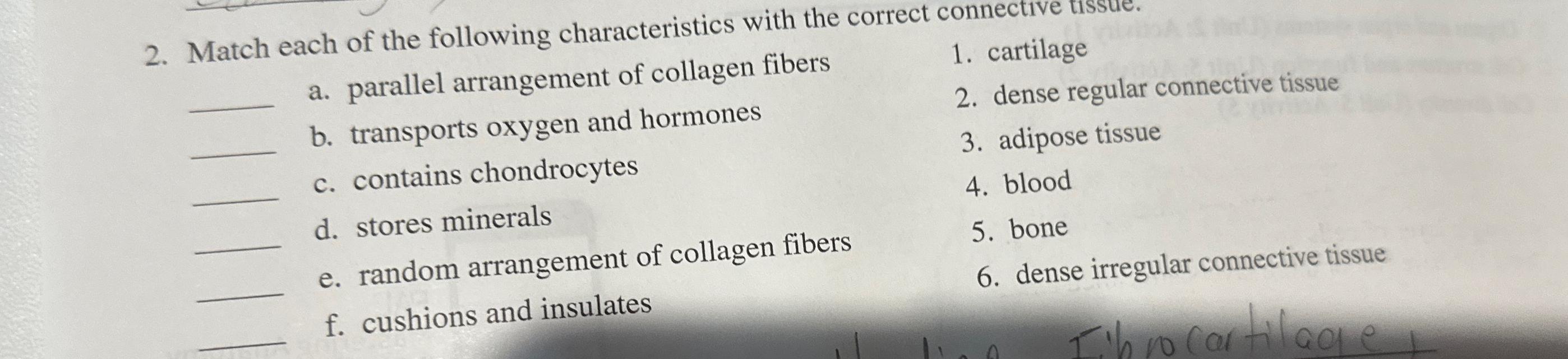 Solved Match each of the following characteristics with the | Chegg.com