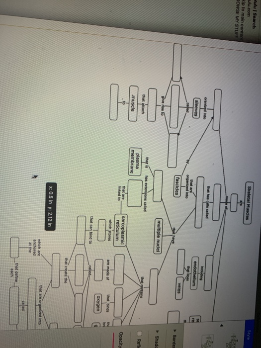 Solved Paragraph Skeletal Muscles Complete the Concept Map | Chegg.com