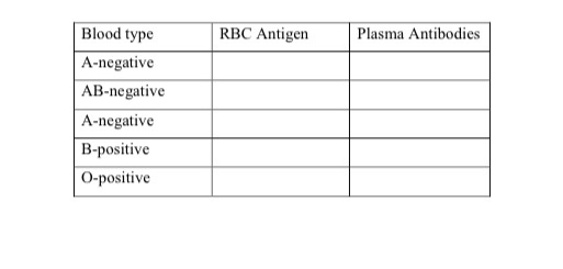 Solved RBC Antigen Plasma Antibodies Blood type A-negative | Chegg.com
