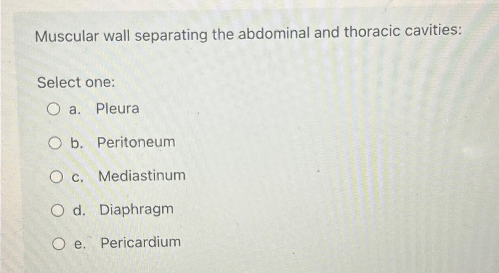 Solved Muscular wall separating the abdominal and thoracic | Chegg.com