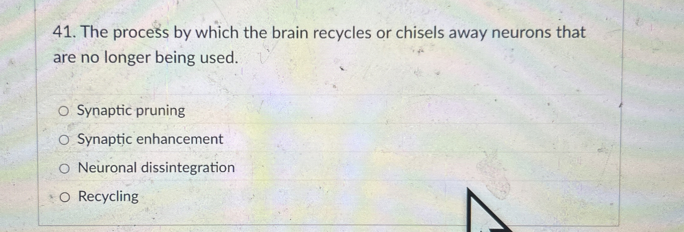Solved The process by which the brain recycles or chisels | Chegg.com