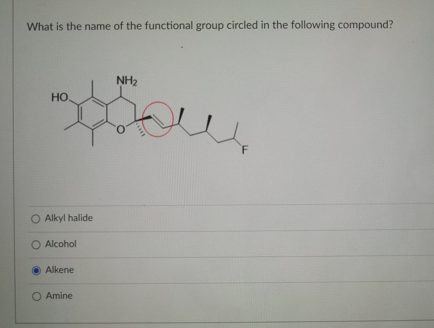 Solved What is the name of the functional group circled in | Chegg.com