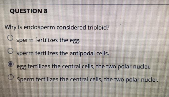 Solved Why is endosperm considered triploid? sperm | Chegg.com