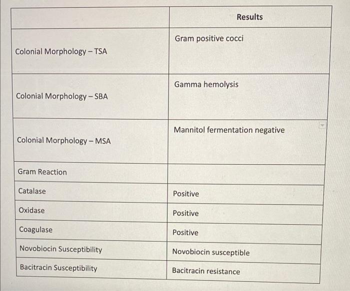 Solved Results Gram positive cocci Colonial Morphology - TSA | Chegg.com
