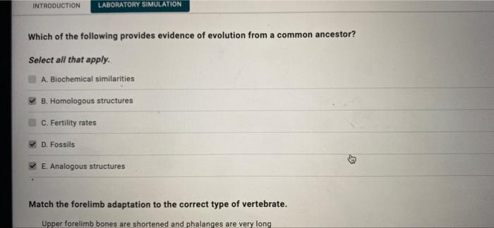 Solved Which of the following provides evidence of evolution | Chegg.com