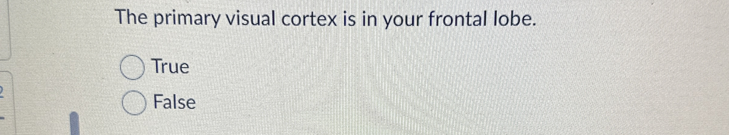 Solved The primary visual cortex is in your frontal | Chegg.com