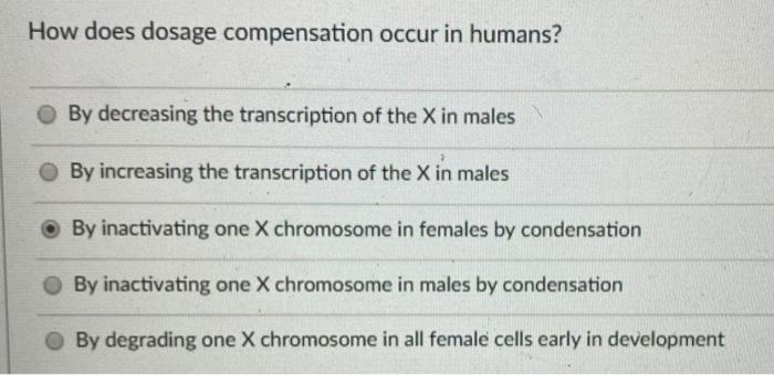 Solved How does dosage compensation occur in humans? By | Chegg.com