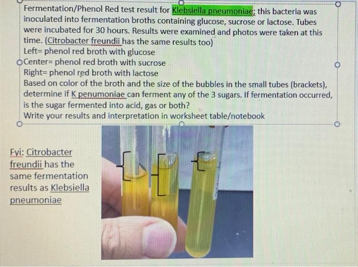 Solved Fermentation/Phenol Red test result for Proteus | Chegg.com