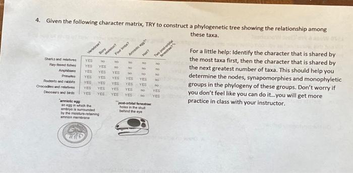 4. Given the following character matrix, TRY to | Chegg.com