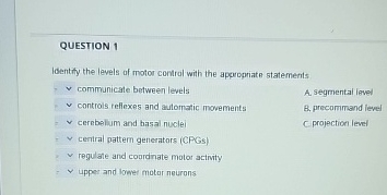 Solved QUESTION 1Identify the levels of motor contral with | Chegg.com