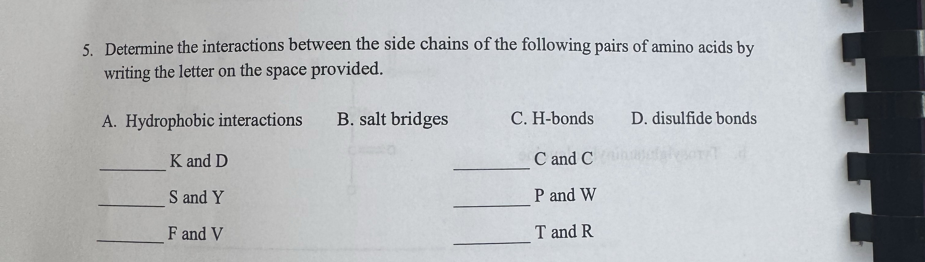 Solved Determine the interactions between the side chains of | Chegg.com