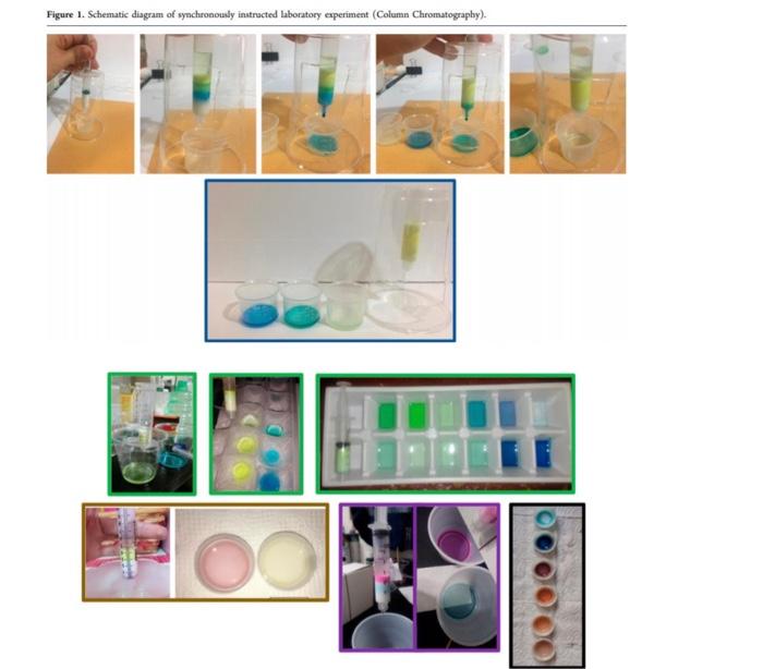 Solved Concept Overview Chromatography is a laboratory | Chegg.com