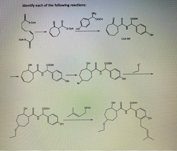 Solved Identify each of the following reactions: COOH 6 3 Co | Chegg.com