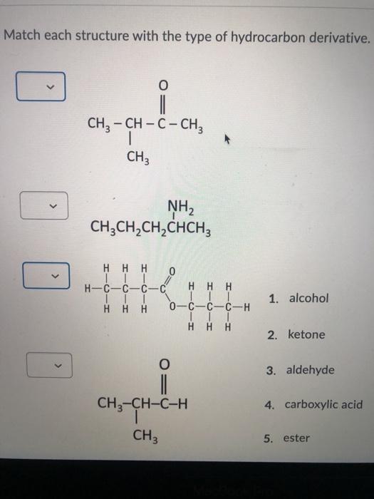 Solved Match each structure with the type of hydrocarbon | Chegg.com