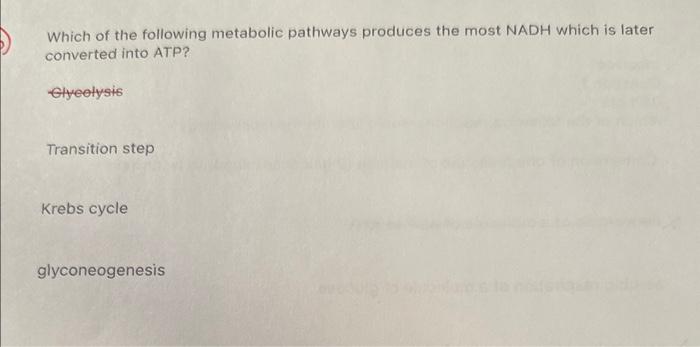 Solved Which of the following metabolic pathways produces | Chegg.com