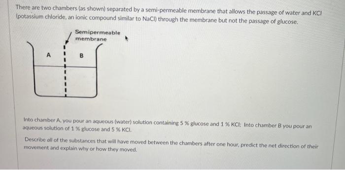 Solved There are two chambers (as shown) separated by a | Chegg.com
