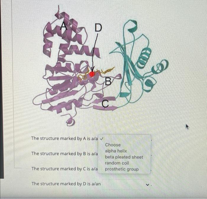 Solved The enzyme fumarase (in the citric acid cycle) | Chegg.com