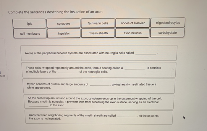 Solved Complete the sentences describing the insulation of | Chegg.com