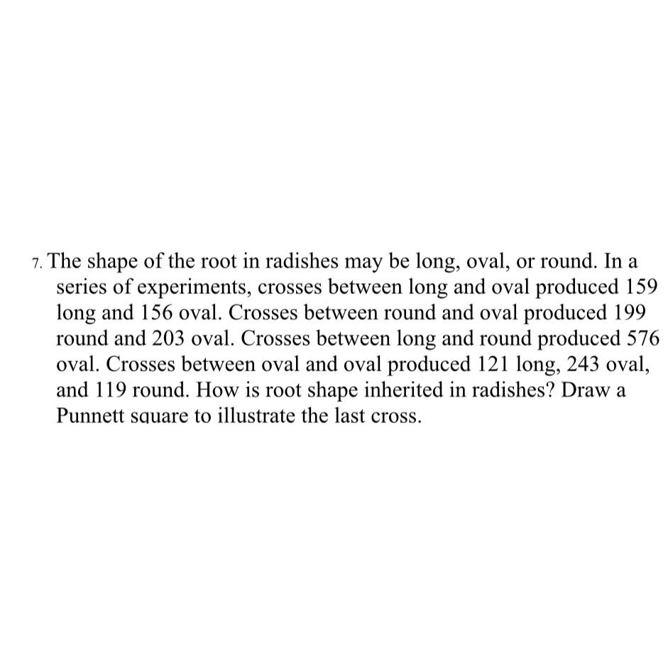 Solved The shape of the root in radishes may be long, oval, | Chegg.com