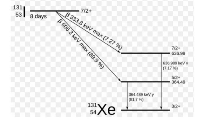 Solved a)The. Explain in detail the following radioactive | Chegg.com
