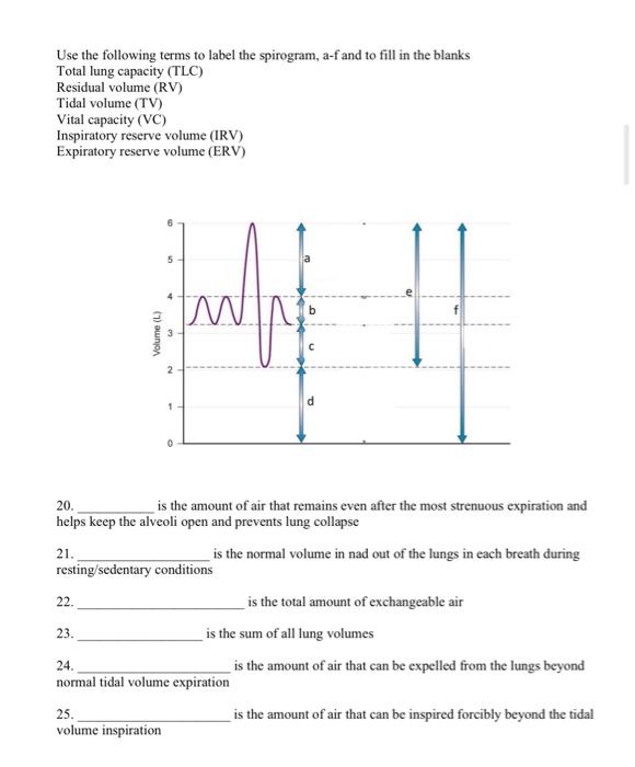 Solved Use the following terms to label the spirogram, a-f | Chegg.com