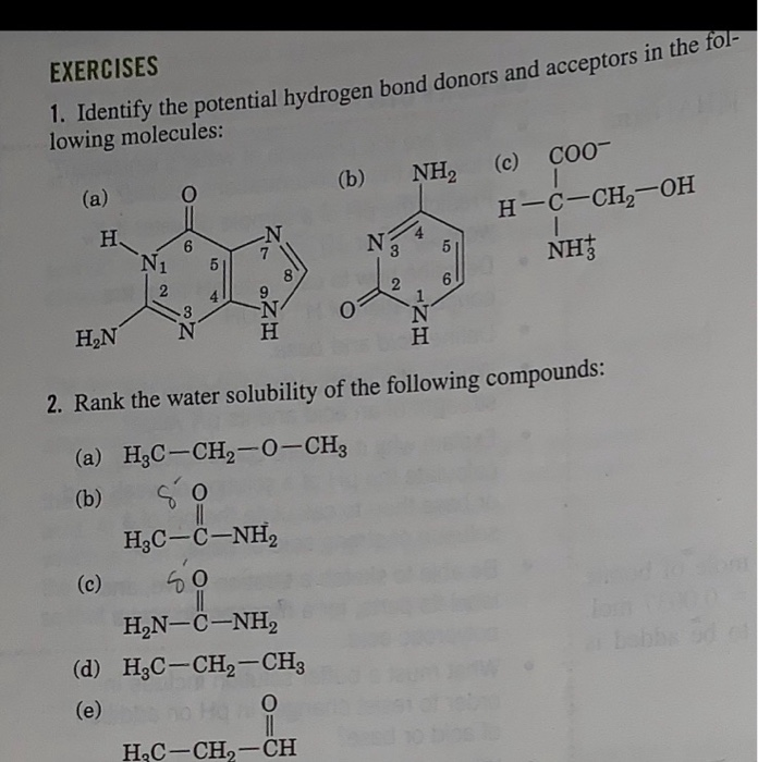 Solved EXERCISES 1. Identify the potential hydrogen bond | Chegg.com