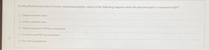 Solved During phototransduction in human rod photoreceptors, | Chegg.com