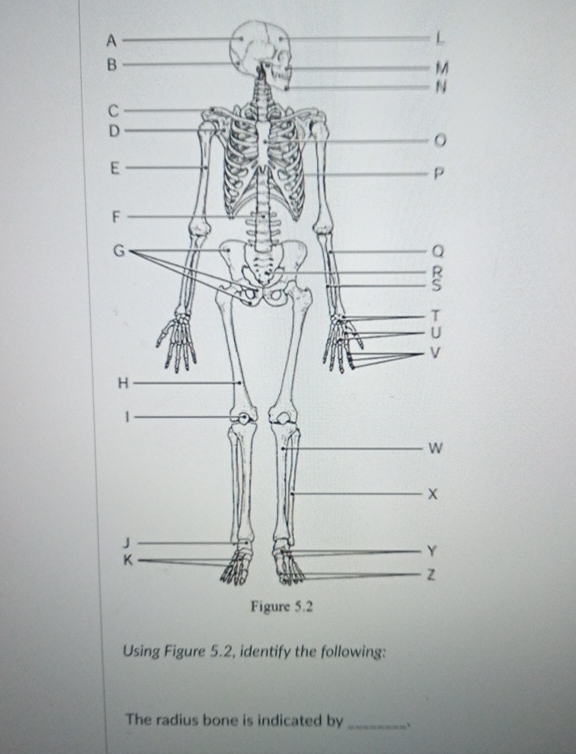 Solved Figure 5.2Using Figure 5.2, identify the | Chegg.com Solved Figure 5.2Using Figure 5.2, identify the | Chegg.com