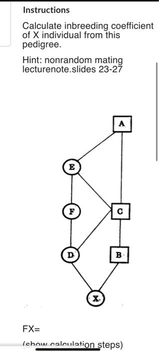 Solved Instructions Calculate inbreeding coefficient of X | Chegg.com