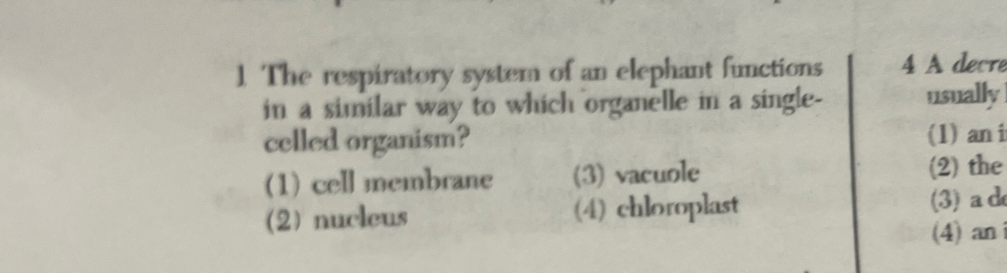 Solved 1 ﻿The respiratory system of an elephant functions in | Chegg.com