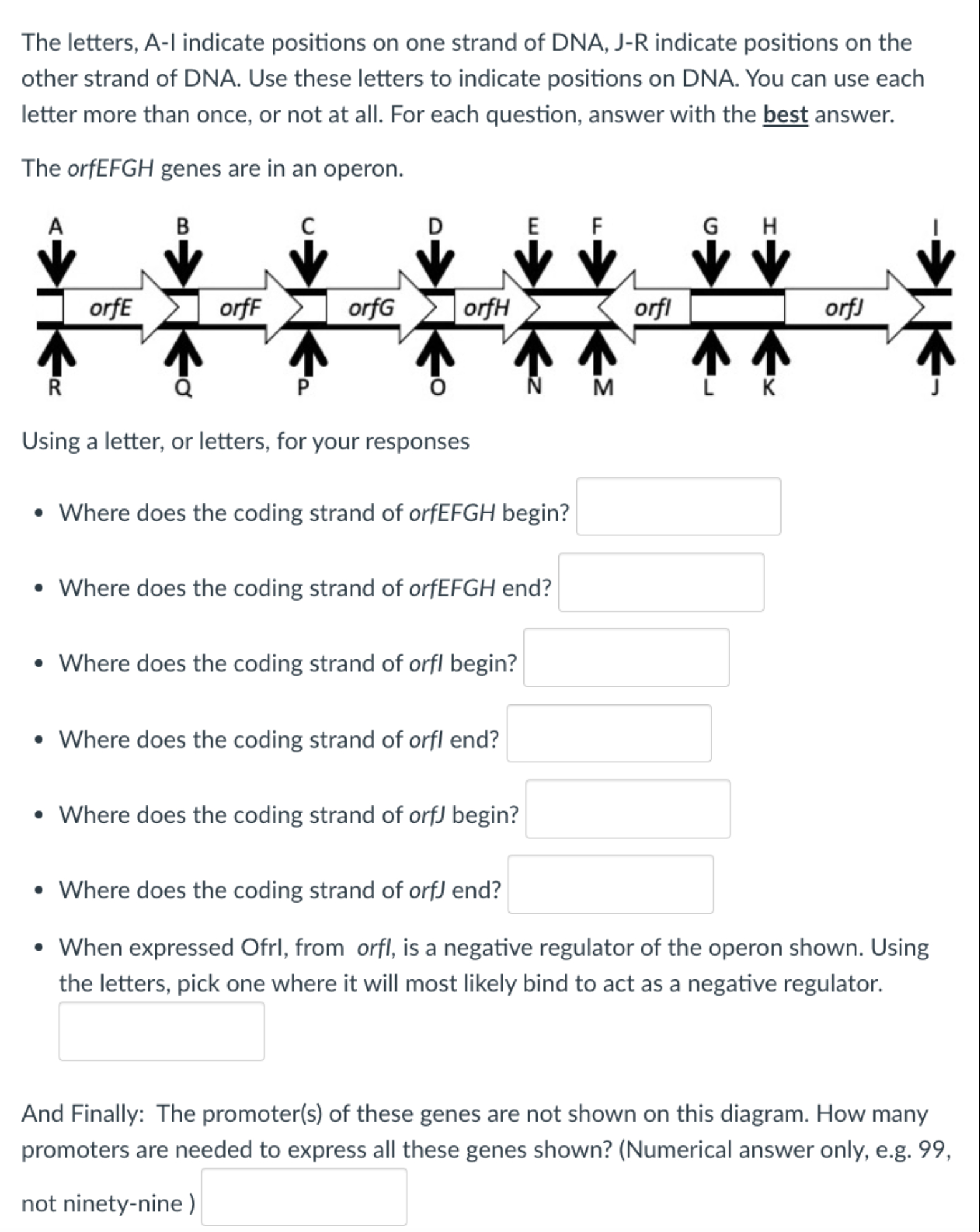 Solved The letters, A-I indicate positions on one strand of | Chegg.com