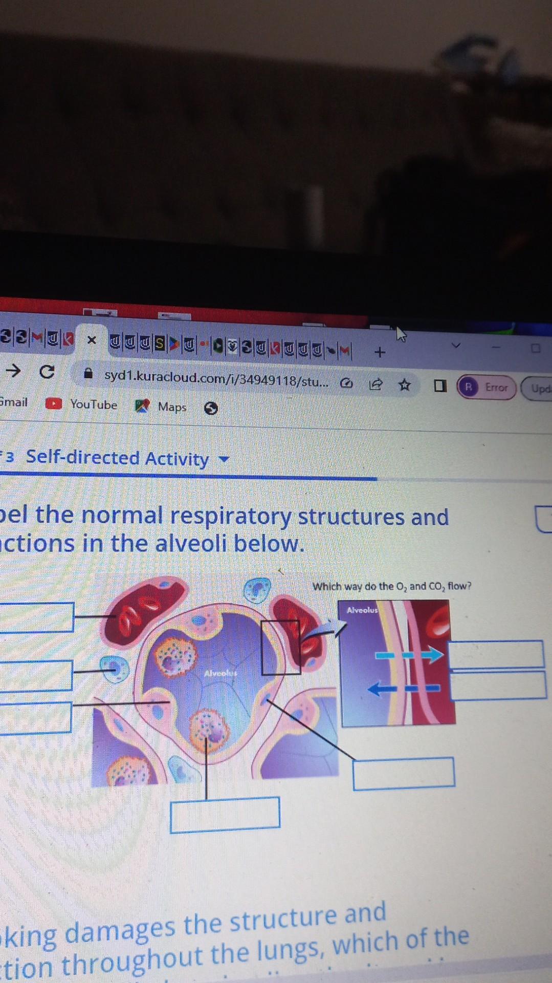 Solved label the normal respiratory structures and functions | Chegg.com