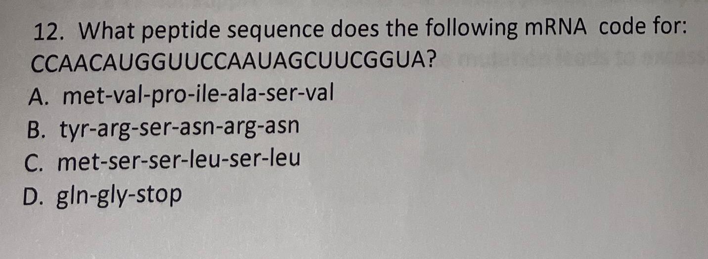 Solved What peptide sequence does the following mRNA code | Chegg.com