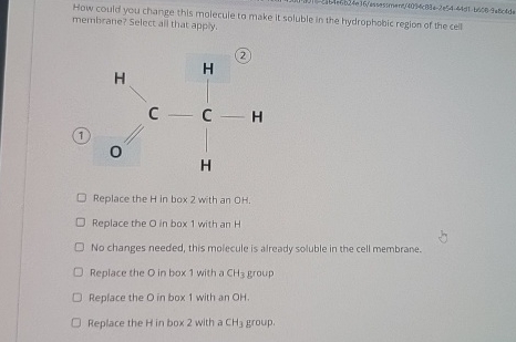 Solved membrane? Select all that apply.Replace the H in box | Chegg.com