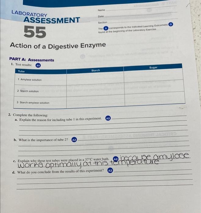Solved LABORATORY ASSESSMENT Action of a Digestive Enzyme | Chegg.com