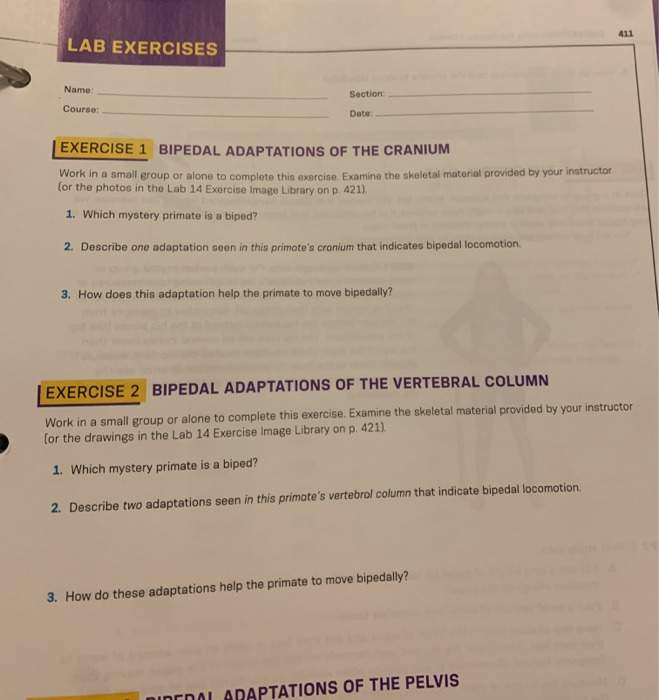LAB EXERCISES Name: Section: Course: Date EXERCISE... | Chegg.com
