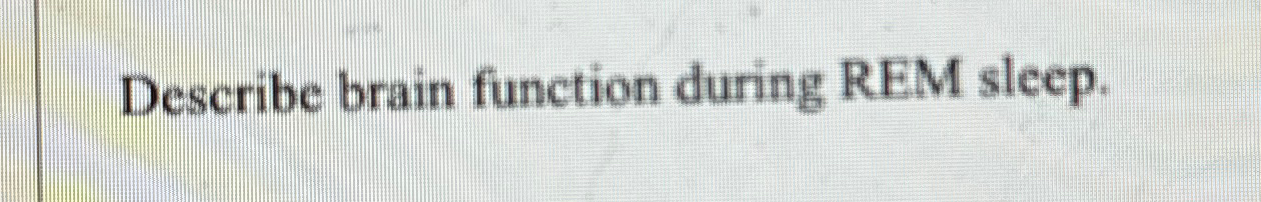 Solved Describe brain function during REM sleep. | Chegg.com
