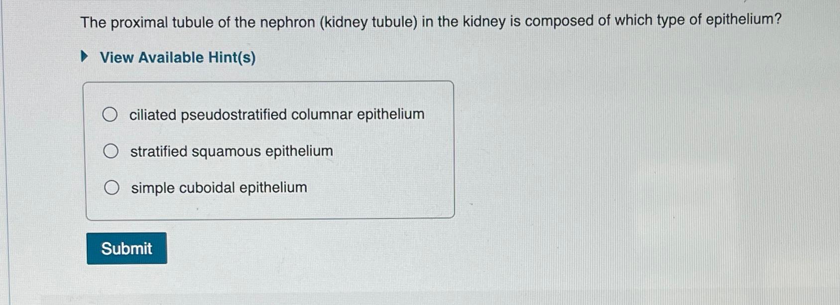 Solved The proximal tubule of the nephron (kidney tubule) | Chegg.com