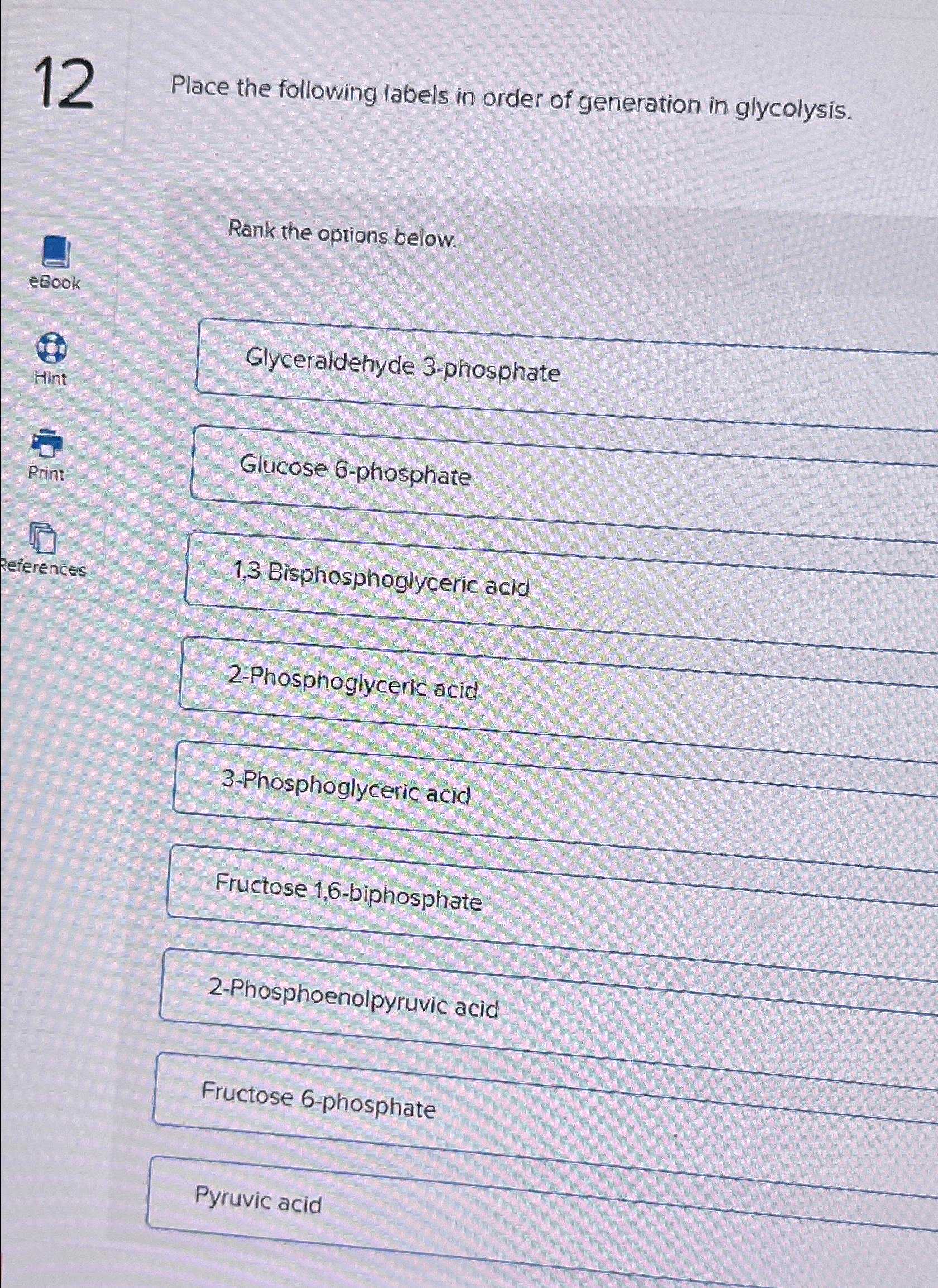 Solved 12Place the following labels in order of generation | Chegg.com