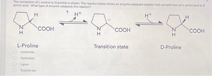 Solved The conversion of L-proline to D-proline is shown. | Chegg.com