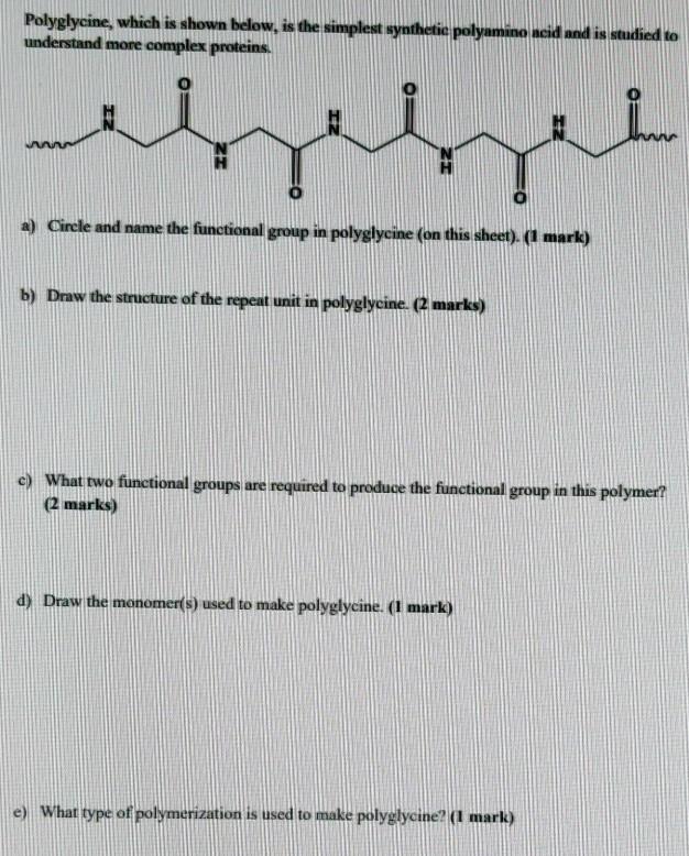 Solved Polyglycine, which is shown below, is the simplest | Chegg.com